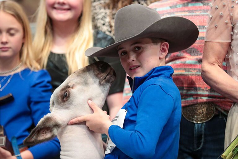 Guide to the Houston Rodeo Livestock Show